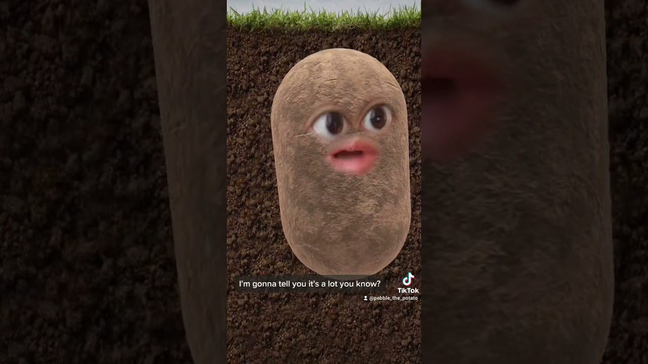 You're very beautiful! - YouTube