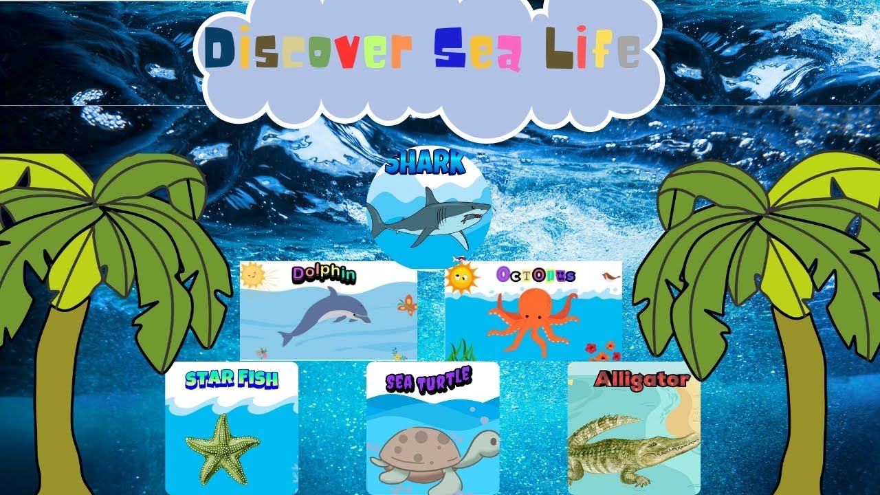 Learn to Draw Sea Animals: Shark, Dolphin, Octopus, and More! | Easy ...