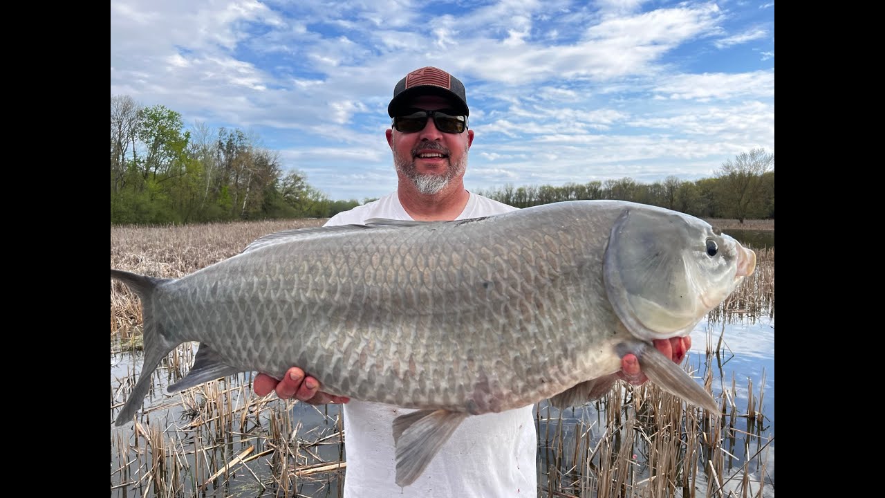 Bowfishing BIG buffalo with the MegaMouth Reel - YouTube