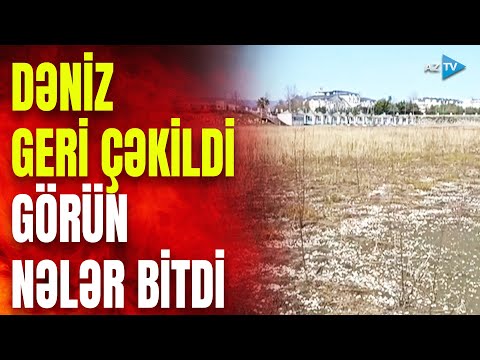 Xəzər dənizi geri çəkildi, yeni bitki növləri bitməyə başladı: Astaradan GÖRÜNTÜLƏR