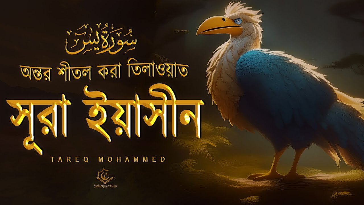অন্তর শীতল করা কণ্ঠে সূরা ইয়াসীন (سورة يس‎)। Tareq Mohammed | Best ...