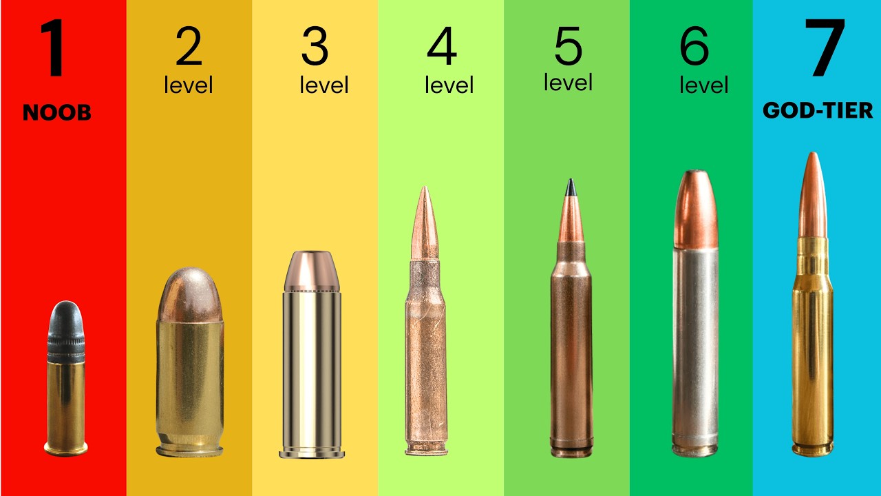 7 Levels of Gun Cartridges Explained - YouTube