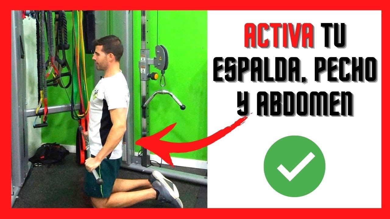 Cómo Hacer PULL OVER 💪 con POLEA ALTA, Barra y Brazos Extendidos ...