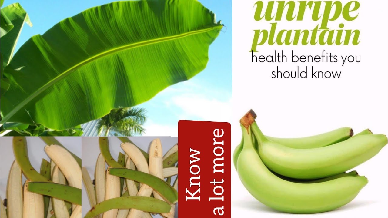 BEST BLOOD TONIC THAT YOU ALWAYS THROW AWAY || A MUST WATCH ON PLANTAIN ...