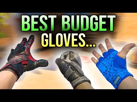 BEST Budget Gloves in CS2 RIGHT NOW! (10 Gloves Under $300)