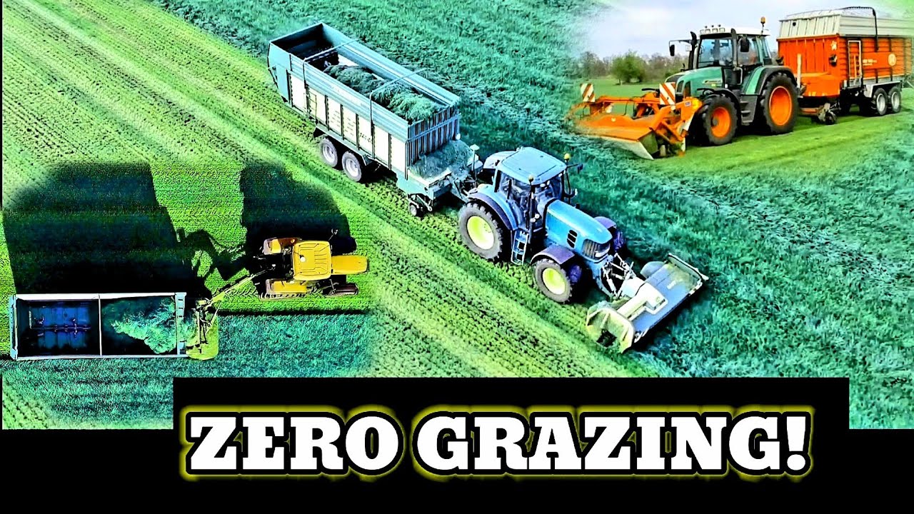 Zero Grazing! | Modern agricultural technology! #viral #farming # ...