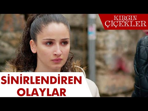 Kırgın Çiçekler Özel Kısa Bölümler | 76