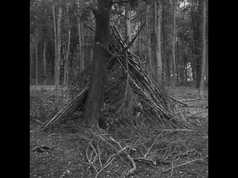 Robin Haynes McCray Is Back W Us Talking About Bigfoot, Goatman, Dogmen ...