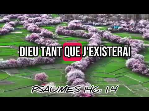 Psaumes 146:1-4 - YouTube