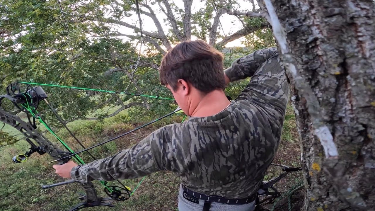 Bowhunting Whitetails Early season | DEER HUNTING - YouTube