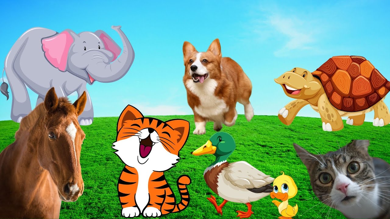 Cute little animals - Dog, cat, duck, elephant, horse - Animal sounds ...