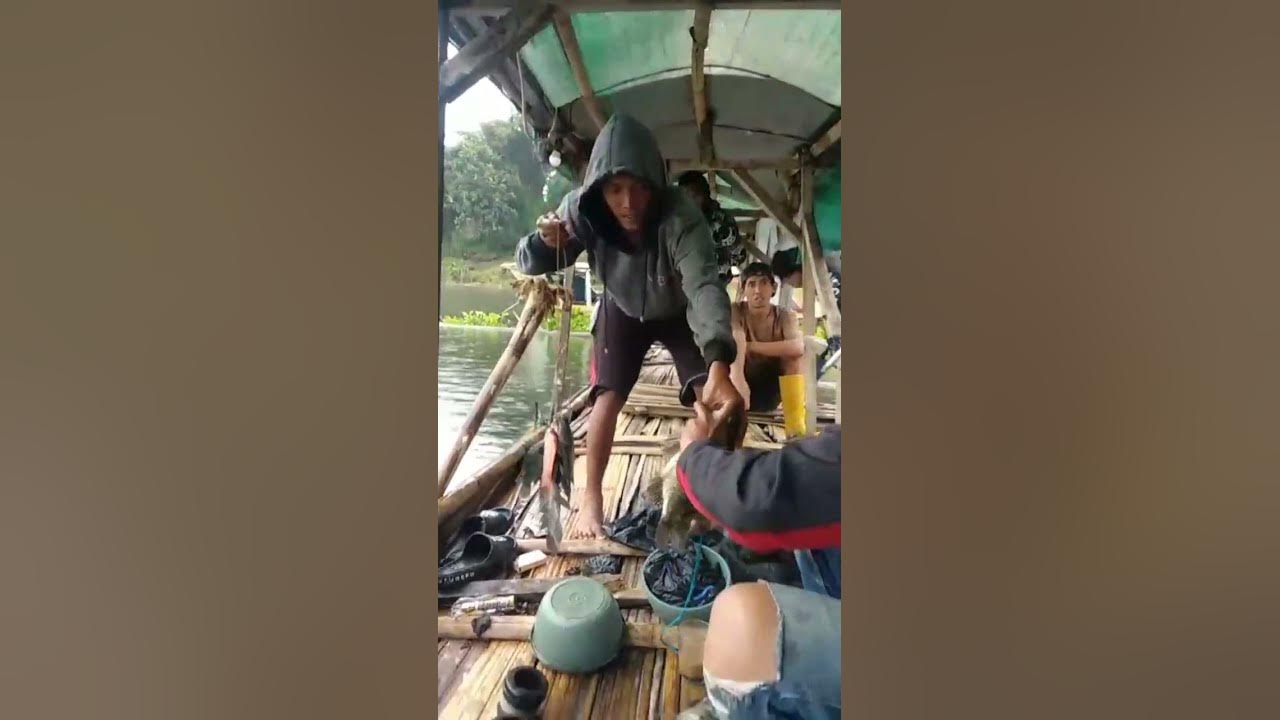 Mancing saguling terbaru, mancing saguling hari ini - YouTube