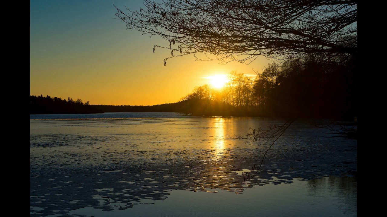 Birdsong Relaxing Nature Sounds from Sweden - YouTube