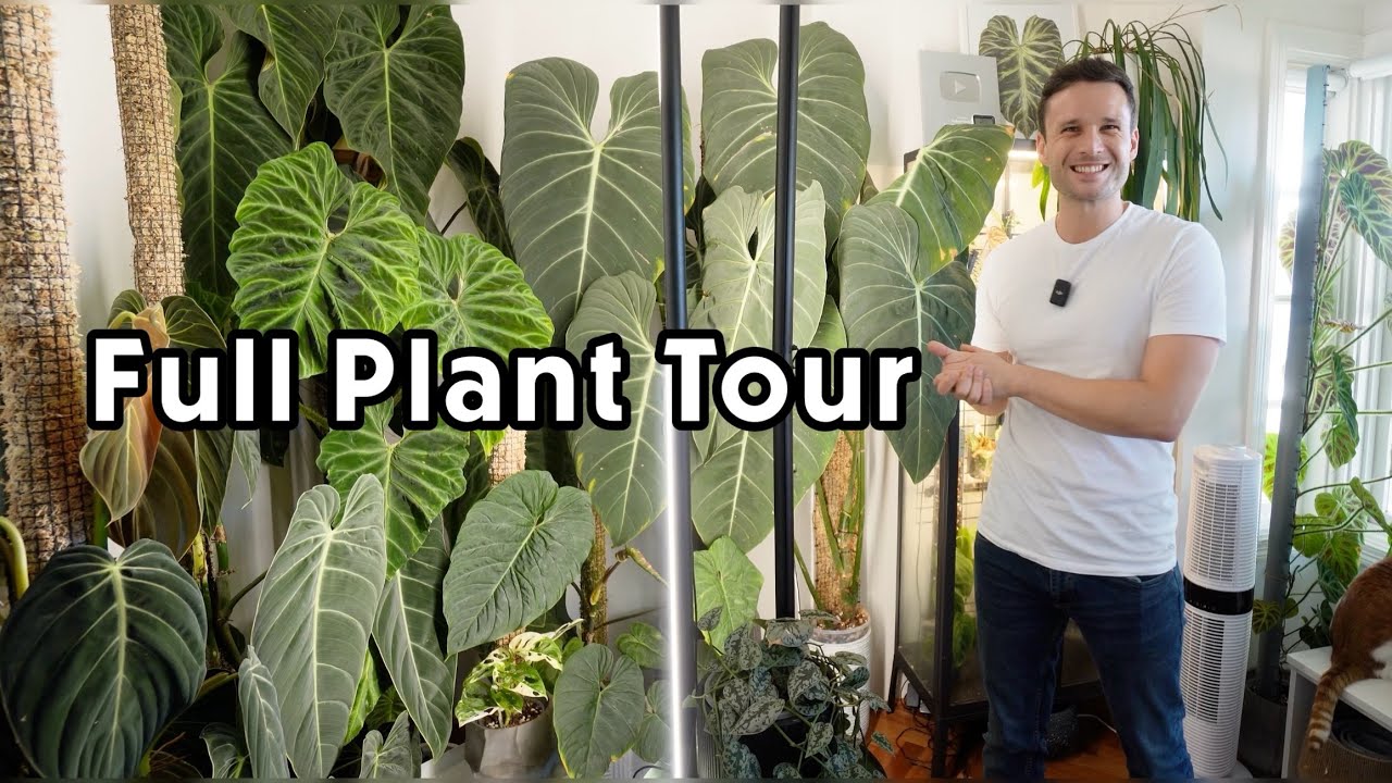 A CLOSER LOOK AT ALL OF MY PLANTS - full house & garden tour - YouTube