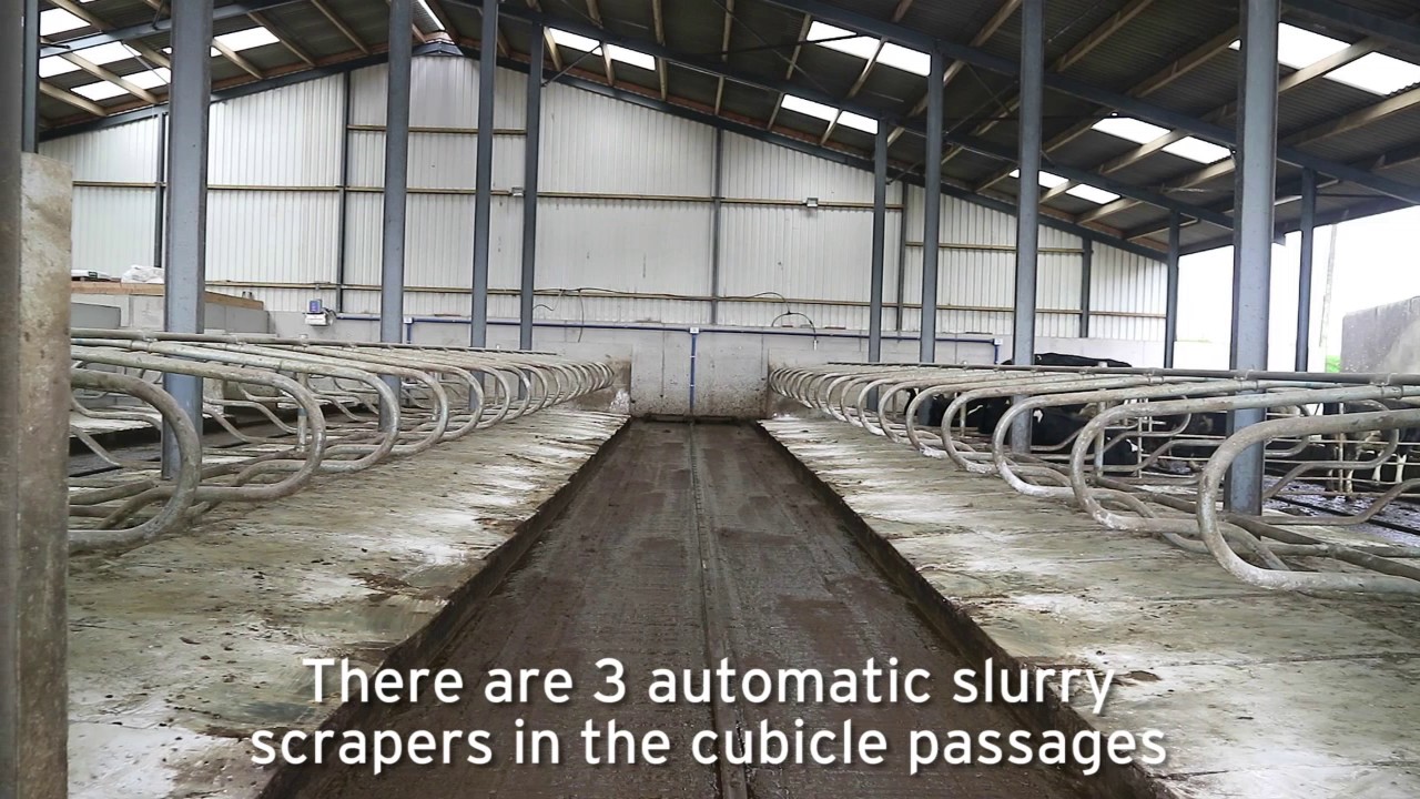 Bang for buck with this combined dairy unit - YouTube