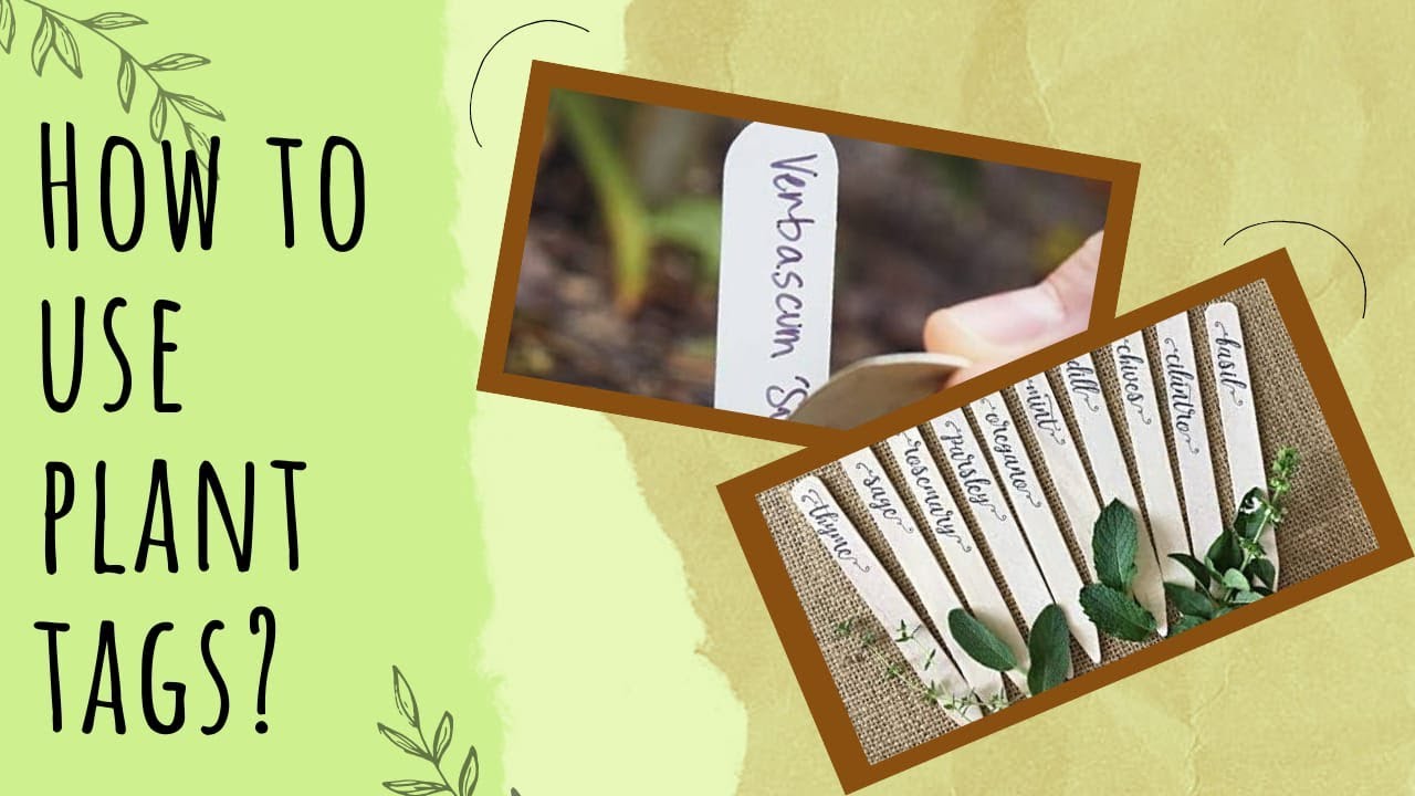 How to use plant tags | Plant tags kaise use kare | The Affordable ...