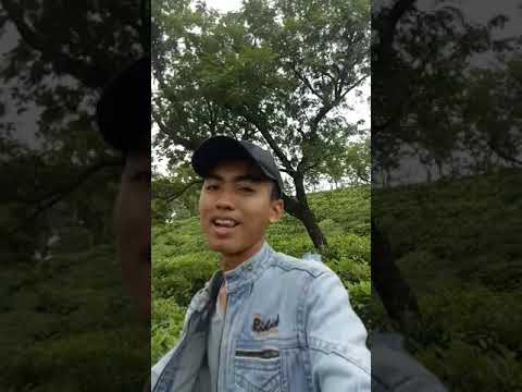 Ketahuan Gitu di Kebun Teh #part.1 #memoryaq