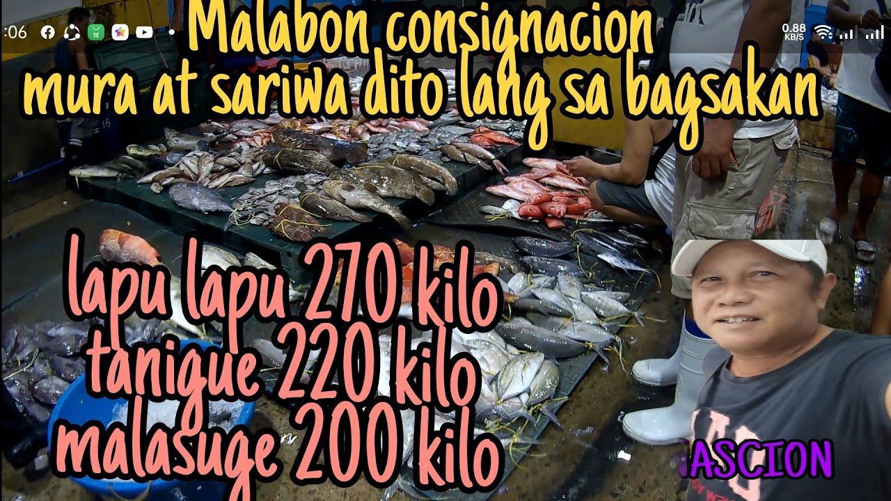 PART2 | Malabon Fish Market | MADAMING KLASE NG ISDA #fishport #fish # ...