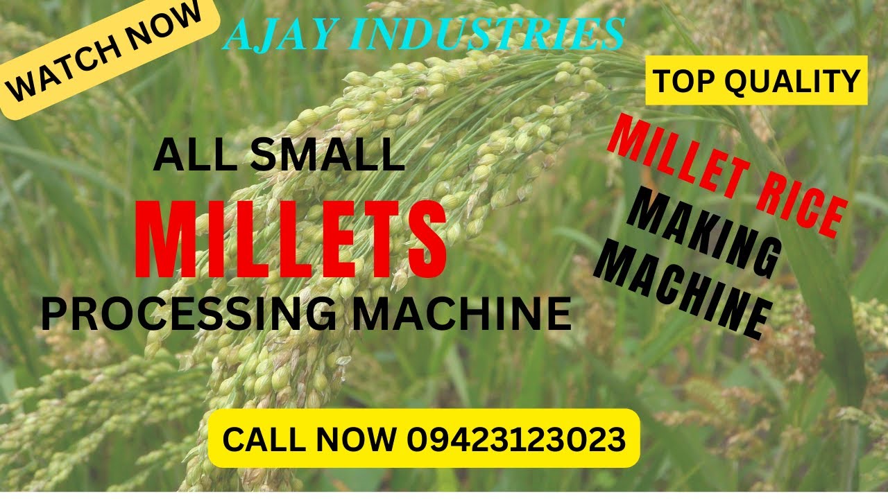 All Small Millets Processing Machine || Millets Rice Making Machine ...