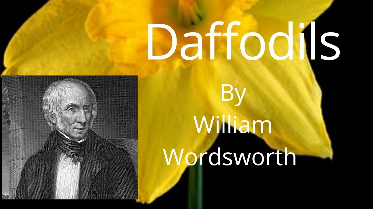 Daffodils | I Wandered Lonely as a Cloud | by William Wordsworth - YouTube