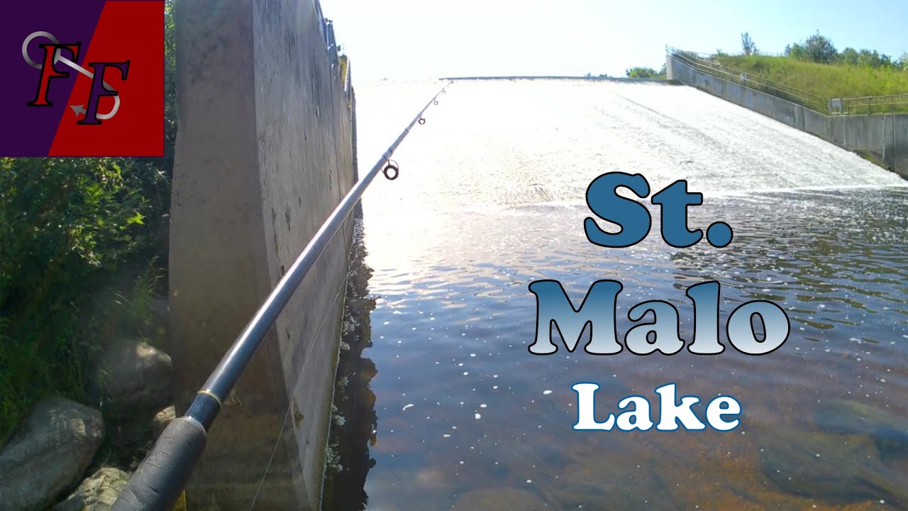 St. Malo Lake and creek fishing // New species alert - YouTube