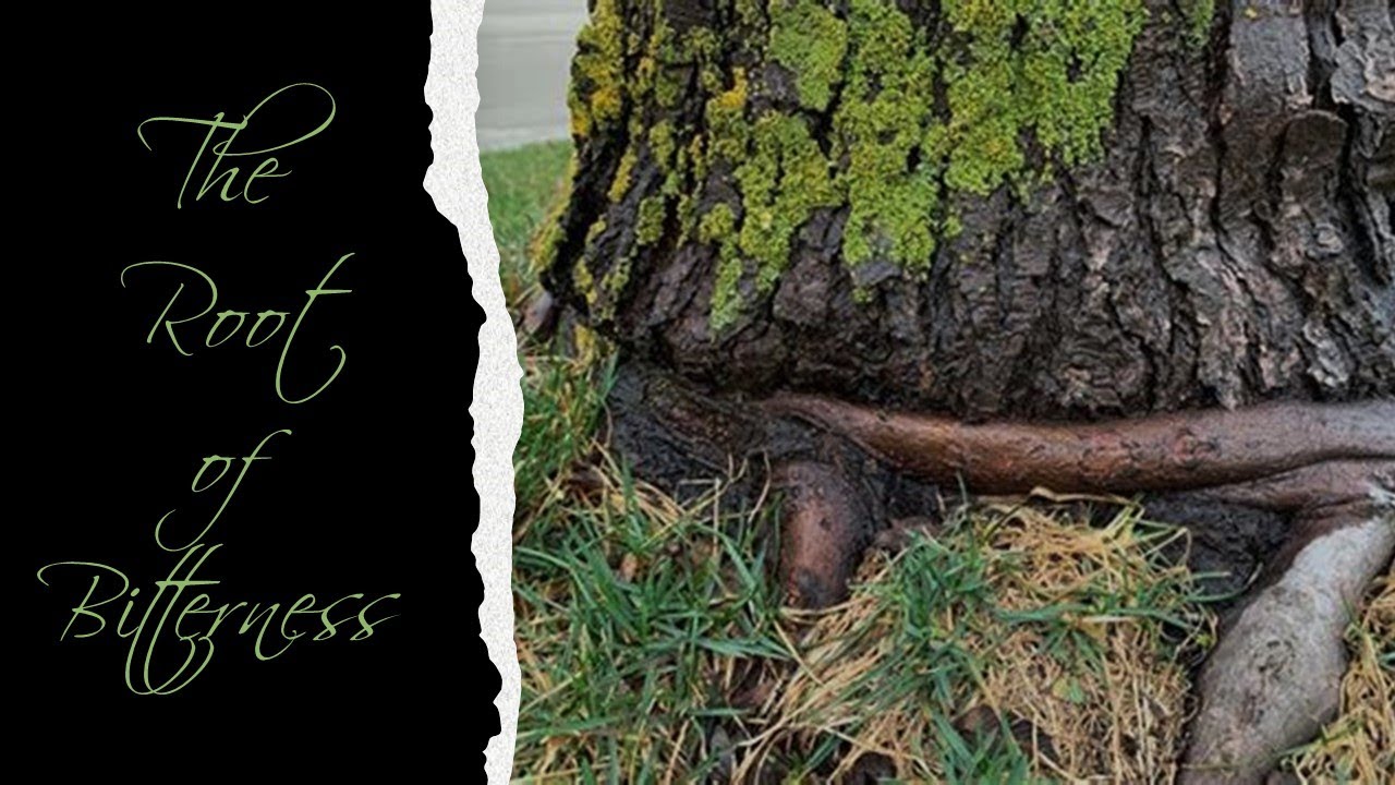 September 5, 2021 - The Root of Bitterness - YouTube