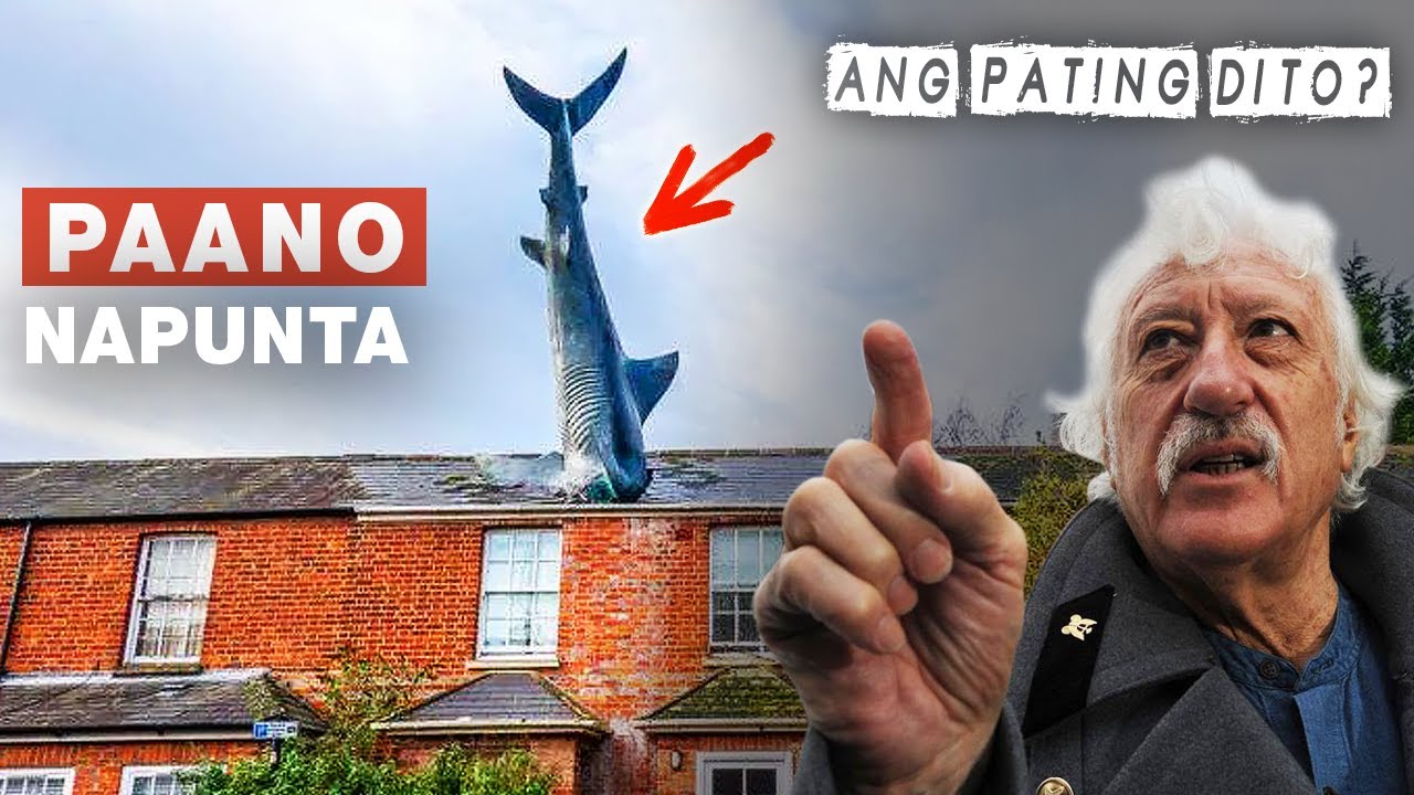 Paano Napunta Ang Pating Sa Bubong Ng Bahay Na Ito? - YouTube