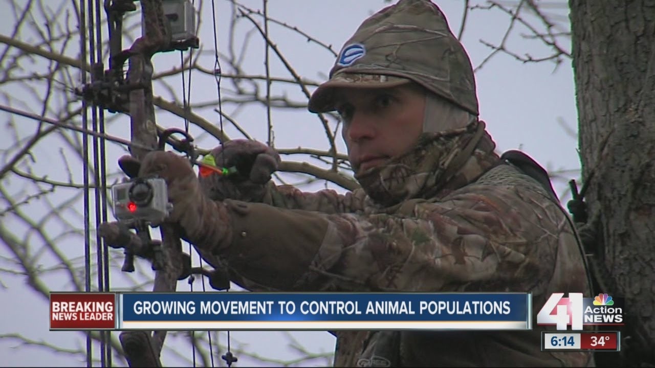 Growing movement to control animal populations - YouTube