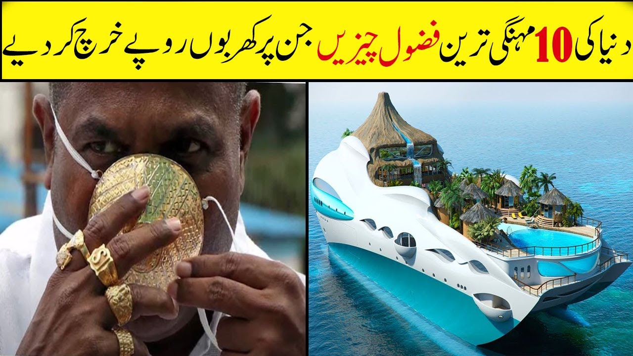 10 Most Expensive Useless Things Ever Bought By Billionaires ...