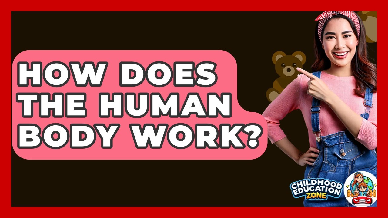 How Does The Human Body Work? - Childhood Education Zone - YouTube