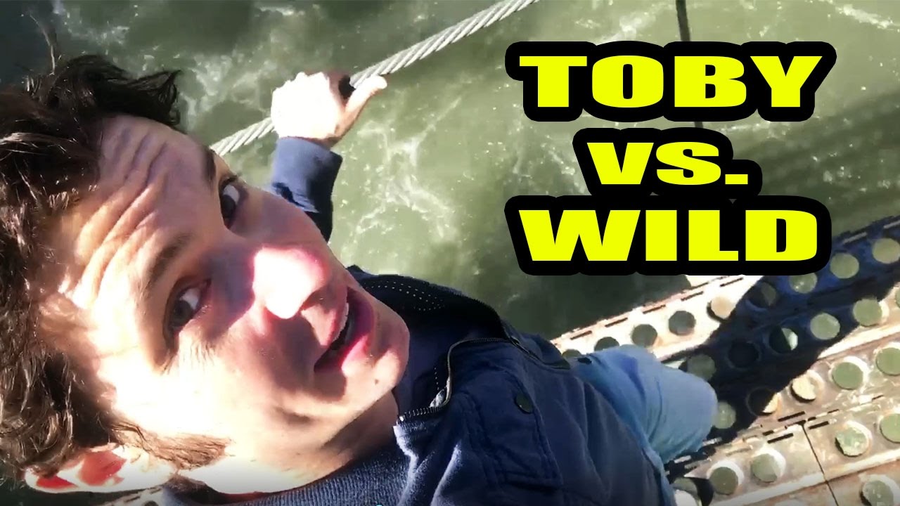 TOBY vs. WILD - YouTube