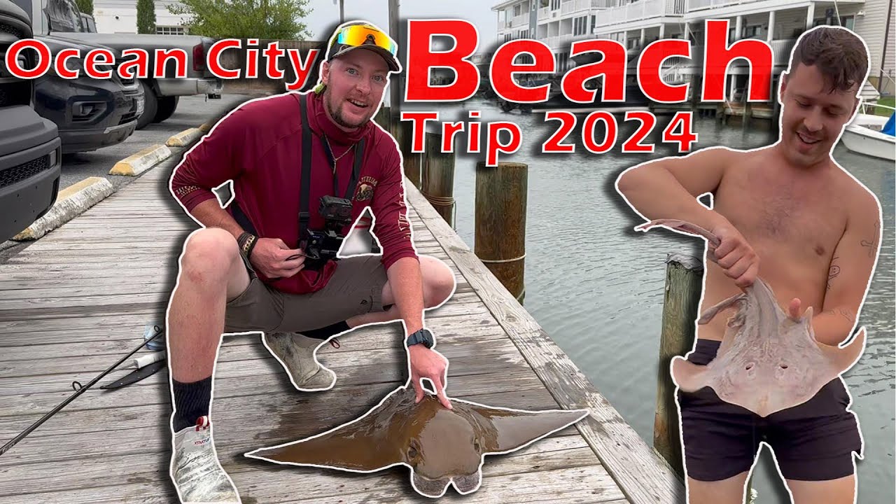 Ocean City Maryland beach fishing! White Marlin Open! - YouTube