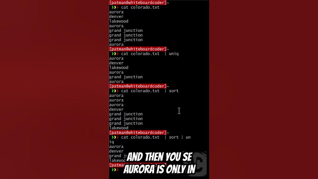Linux Uniq Coding Linux Linuxtutorials Linuxcommandlinetutorial Ubuntu Sysadmin Youtube 