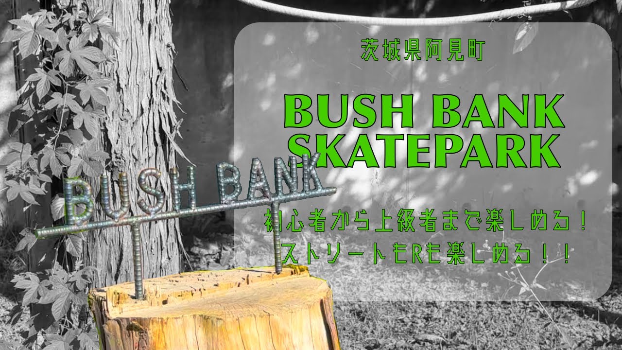 【パークレビュー】BUSH BANK SKATEPARK - YouTube