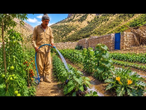 Harvesting nomad crops: Irrigating nomadic garden in the Zagros💦 | Nomadic farming and mountain life