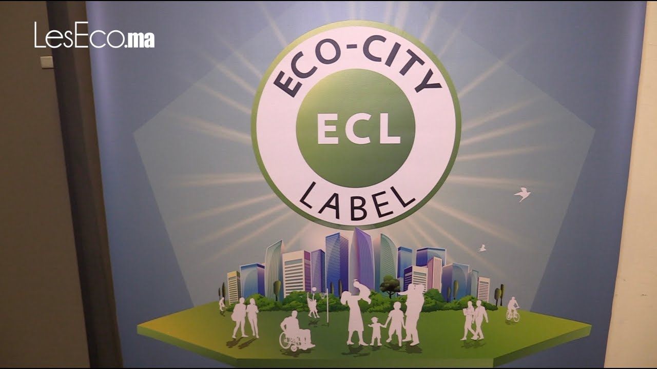 A quoi va ressembler Zenata l'Eco-cité ? - YouTube