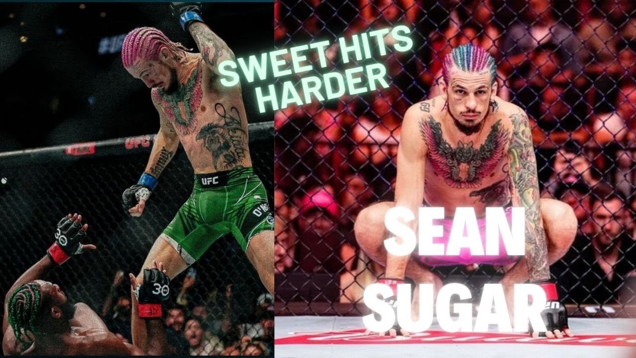 SEAN SUGAR O'MALLEY'S Top MMA Training Techniques! - YouTube