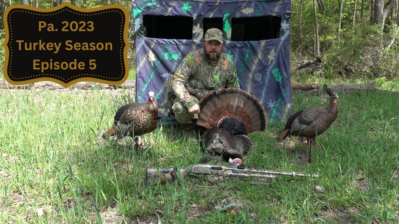 2023 Pa. Turkey Hunting Success / Day 11 / Episode 5 - YouTube