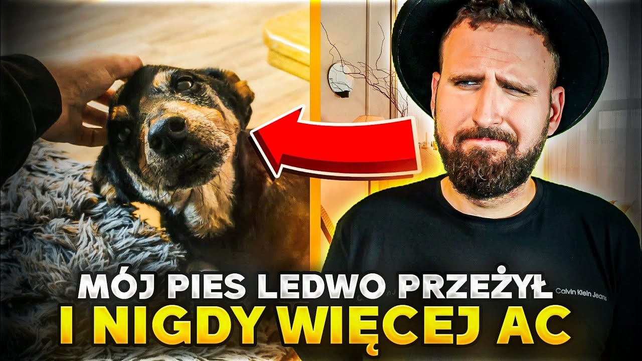 MÓJ PIES LEDWO PRZEŻYŁ I NIGDY WIĘCEJ AC - Trackmania 2 z Ekipą ...