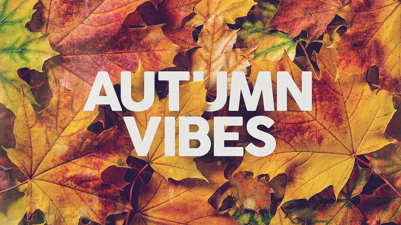 Autumn Vibes - Chill & Relax - Cool Music - YouTube