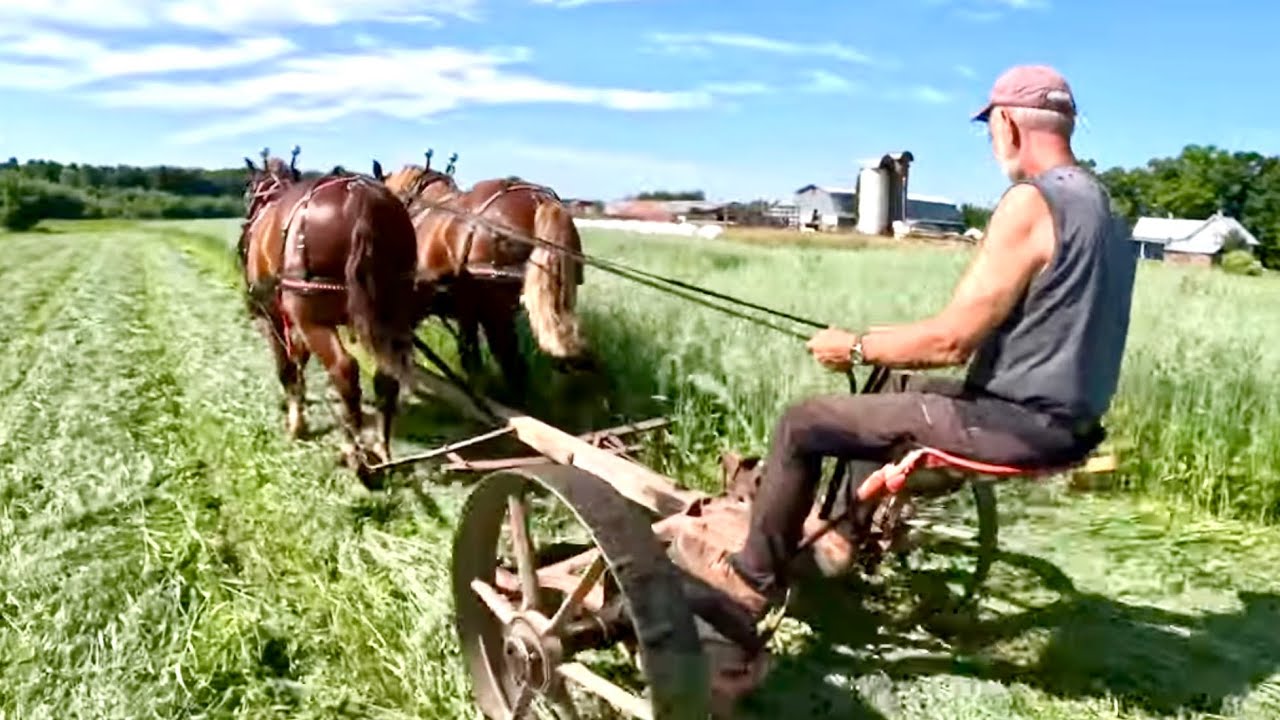WE'RE HOME! // How did things go on the Farm while we were away?! #660 ...