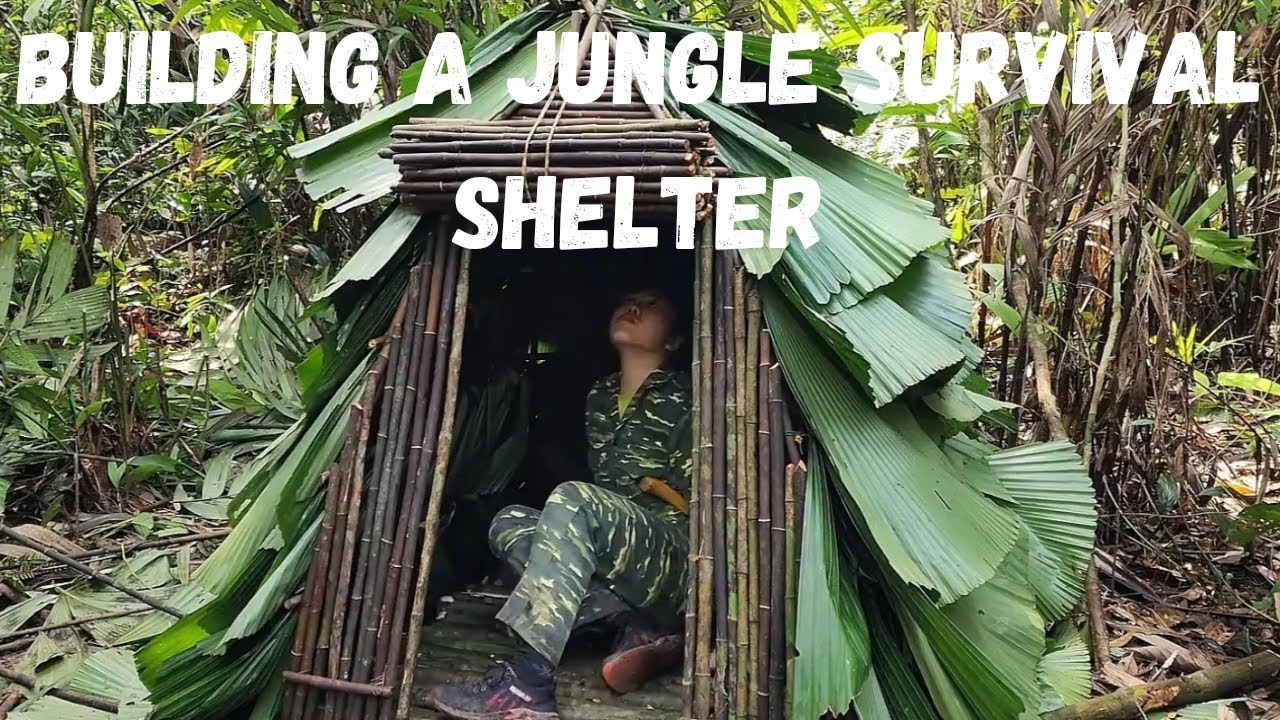 Building a jungle survival shelter #wildernesssurvival # ...
