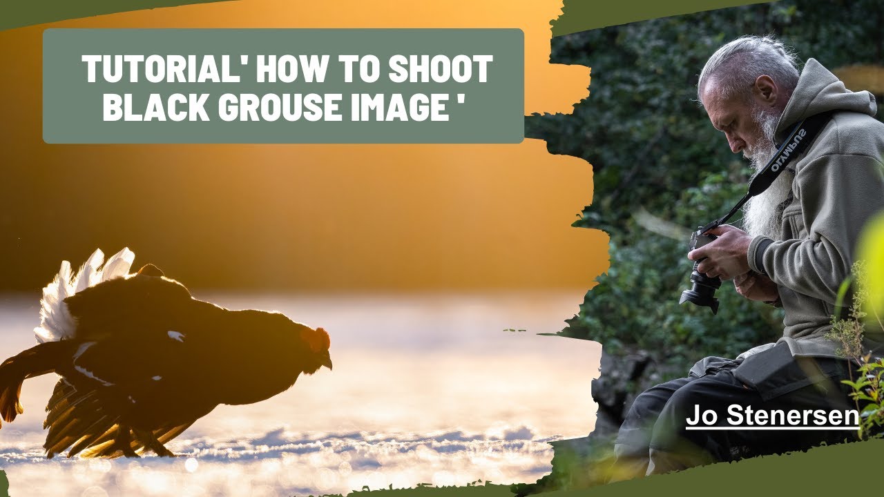 Kase Education丨How to shoot Black Grouse Image - YouTube