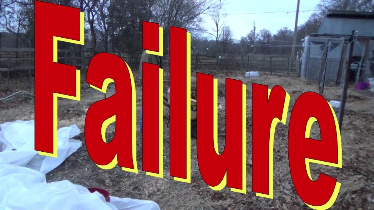 Garden Failures Are A Part Of Gardening 12-2-2022 - YouTube