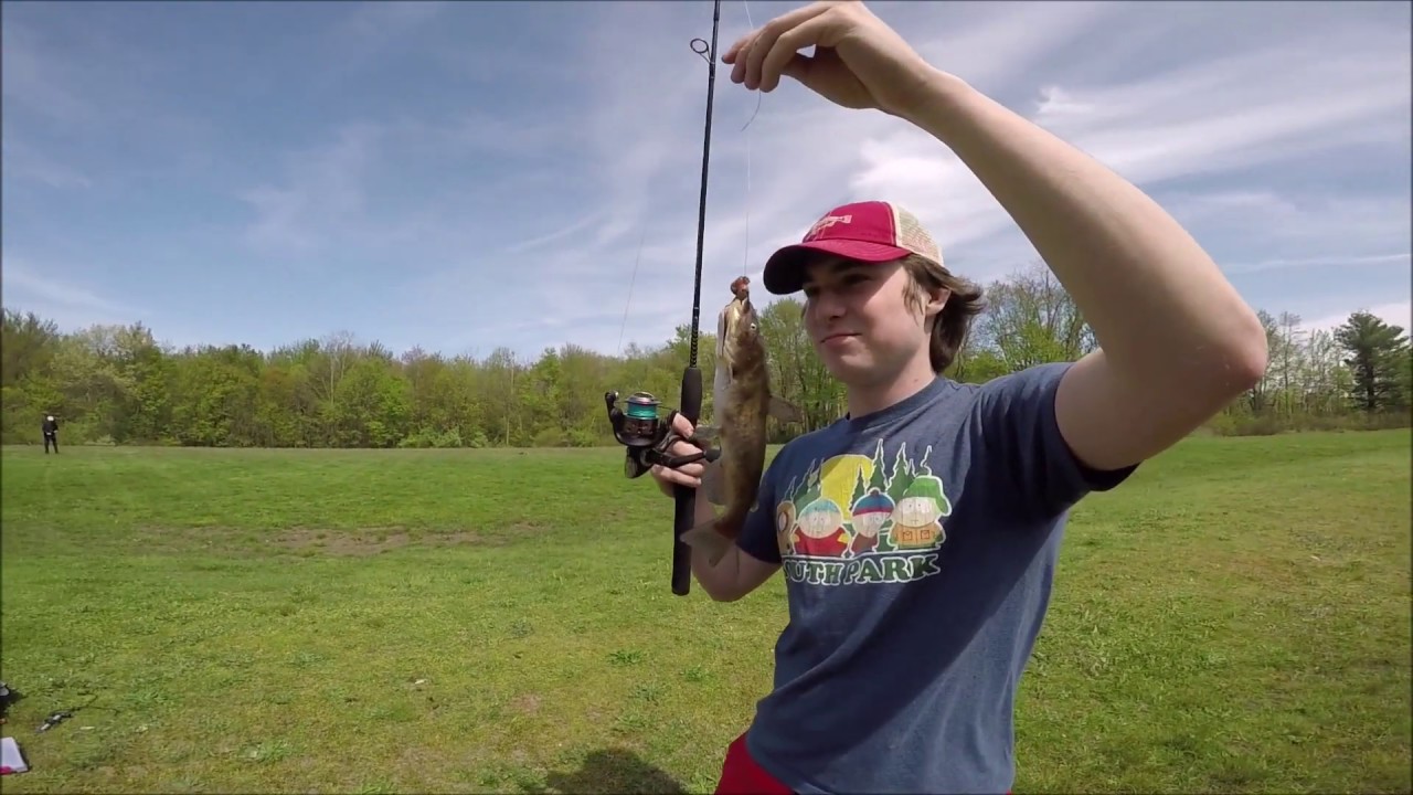 Fishing part 14: 31 LB Carp and 3 new species! - YouTube