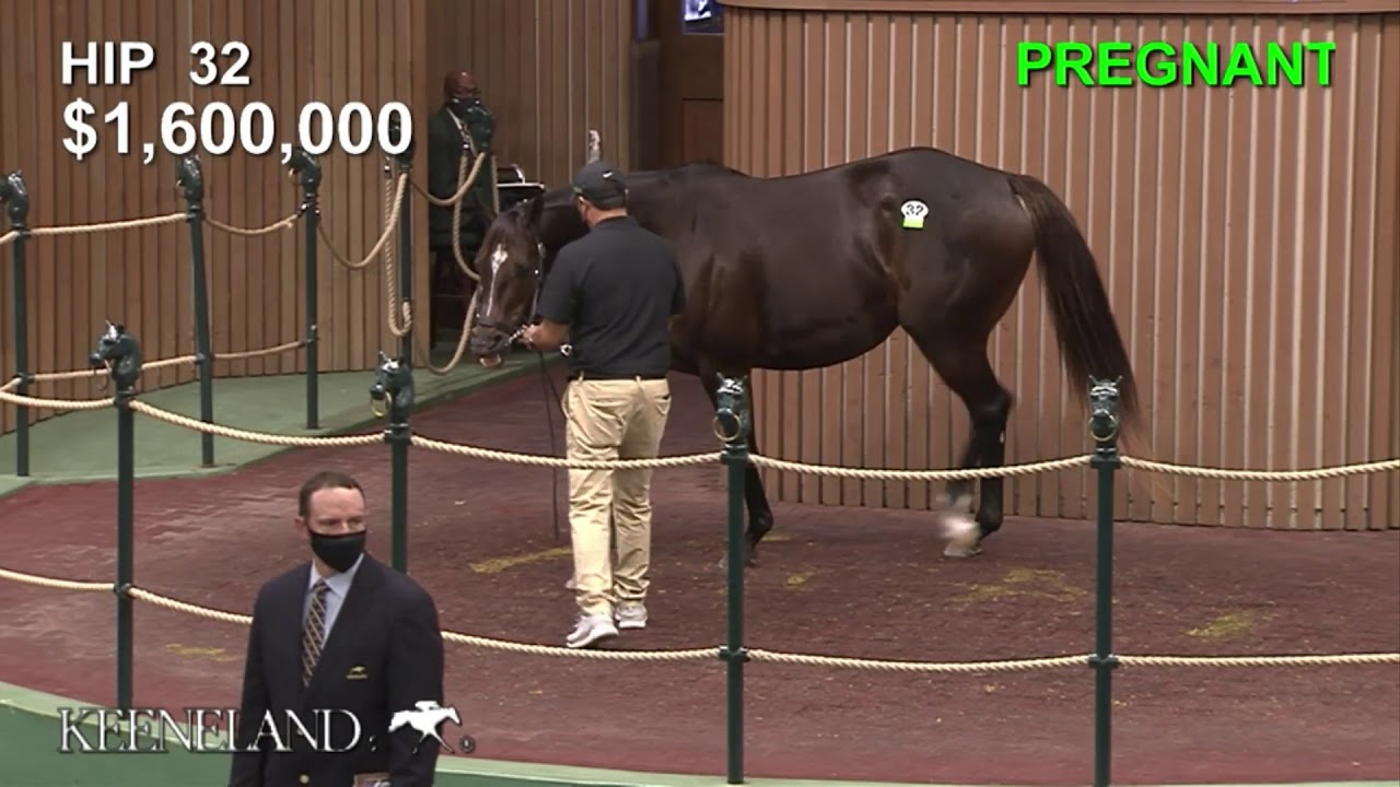 Indian Miss (hip 32), sells for $1.9 million at 2020 Keeneland November ...