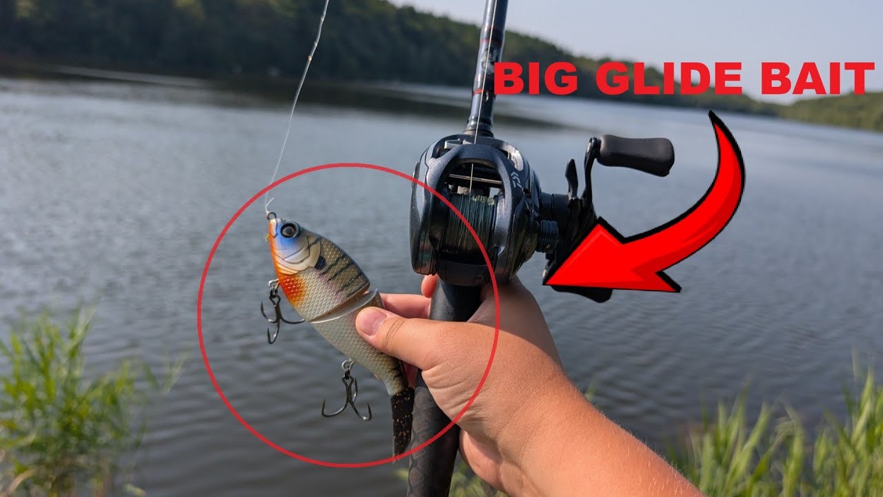 BIG GLIDE BAIT FISHING (GIANT CAUGHT) - YouTube