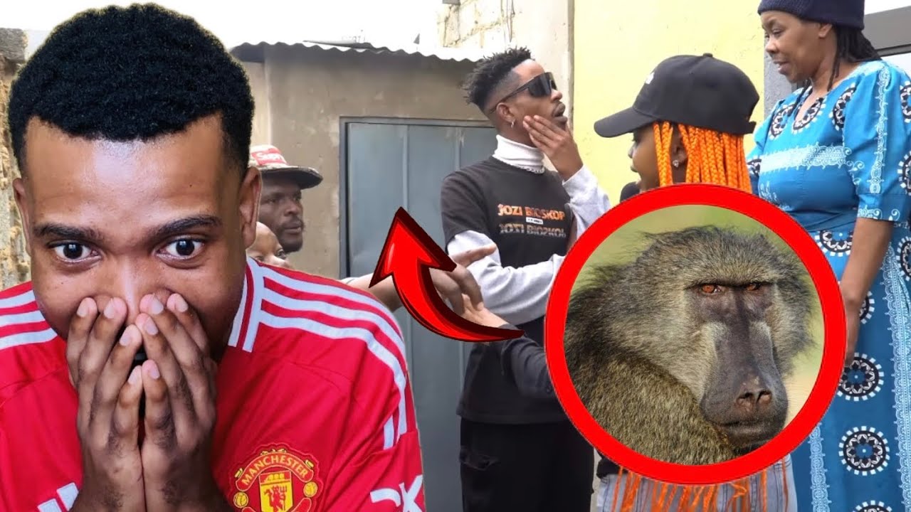 This Granny has a baboon living inside her house!! Reaction - YouTube