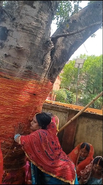#bat Savitri puja #song - YouTube