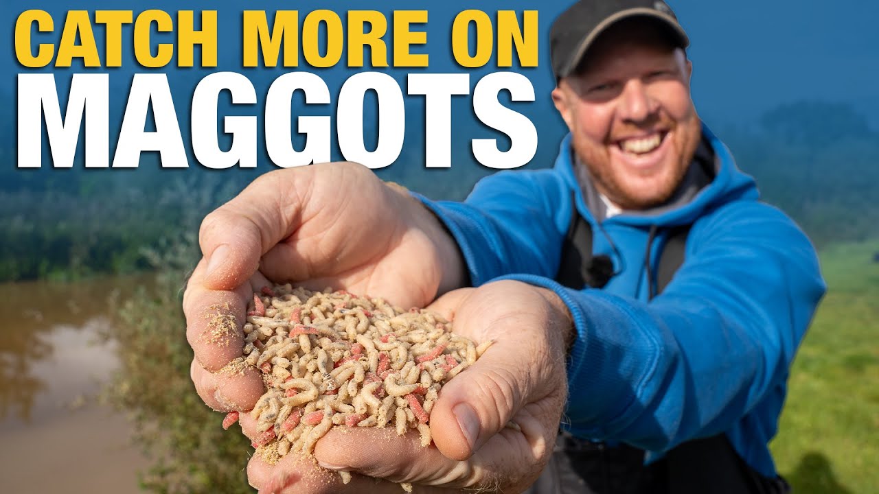 Catch More On Maggots With These TOP TIPS! - YouTube